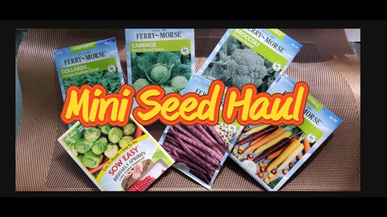 Mini Seed Haul - YouTube
