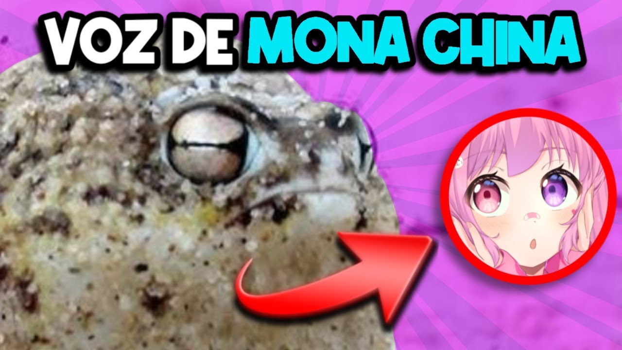 Rana ENOJADA pero con VOZ DE MONA CHINA 🐸 - YouTube