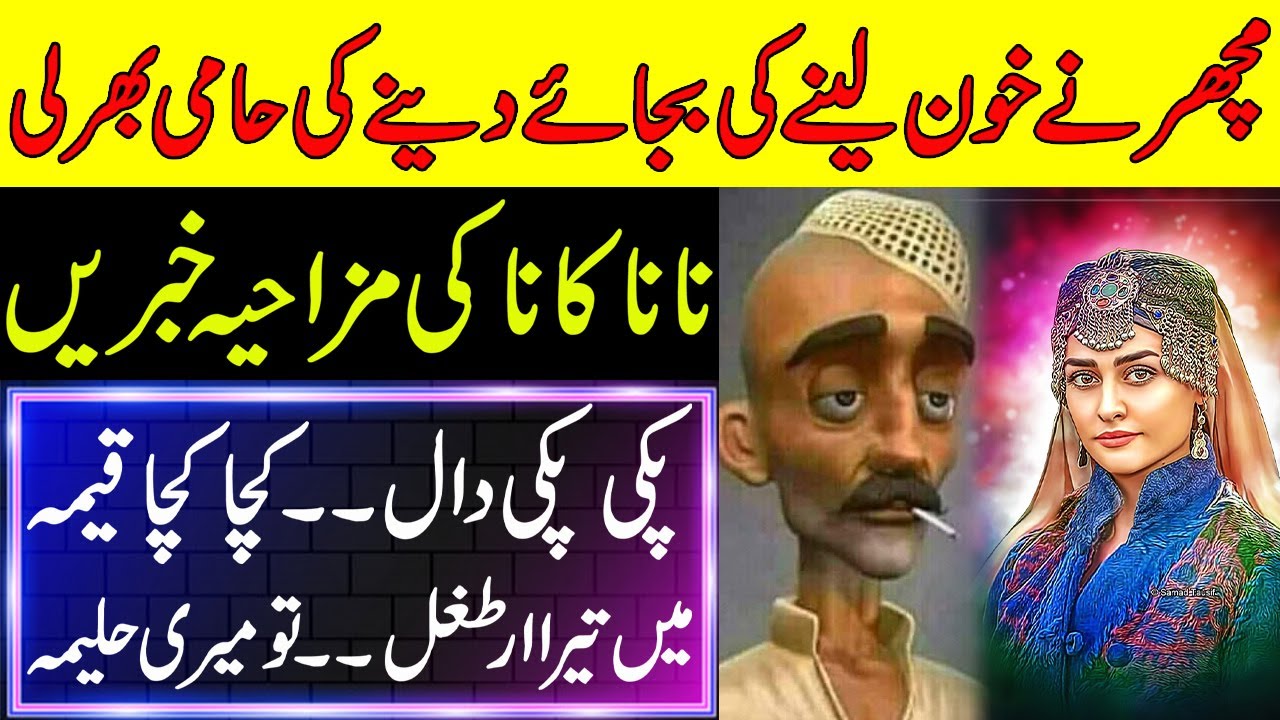 Main tera ertugrul tu meri halima|nana kana funny news|top funny ...