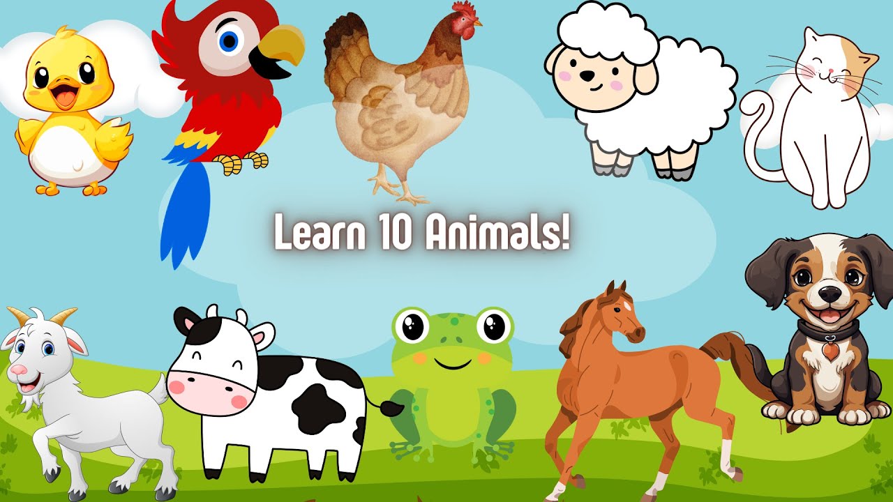 Learn 10 Animals for Kids | Fun and Educational - YouTube