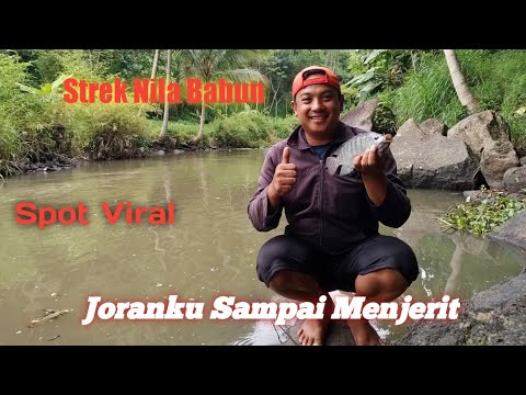 Mancing Di Tengah Hutan Strek Babun Nila@Mahmud-Gabluk2