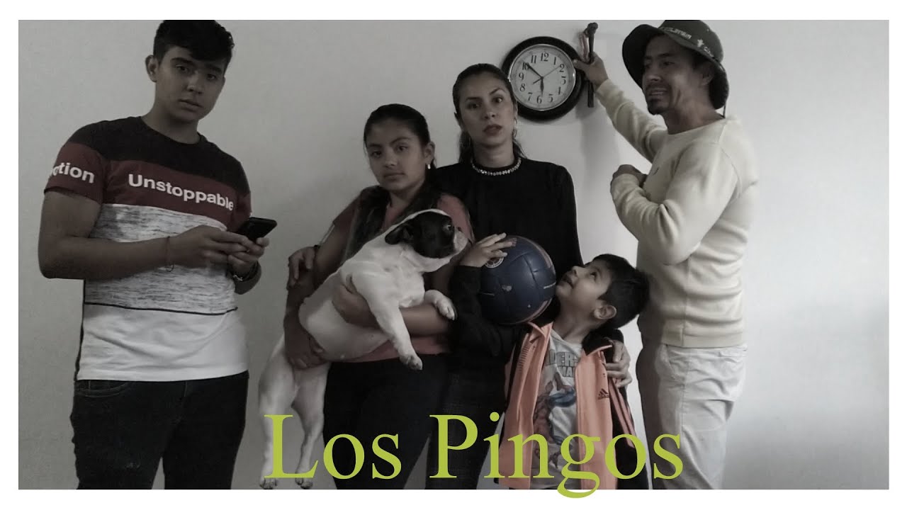 Los Pingos - Capitulo 3 - Santandereanos en la capital - En Casa - YouTube
