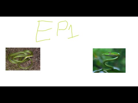 snakes ep 1 - YouTube