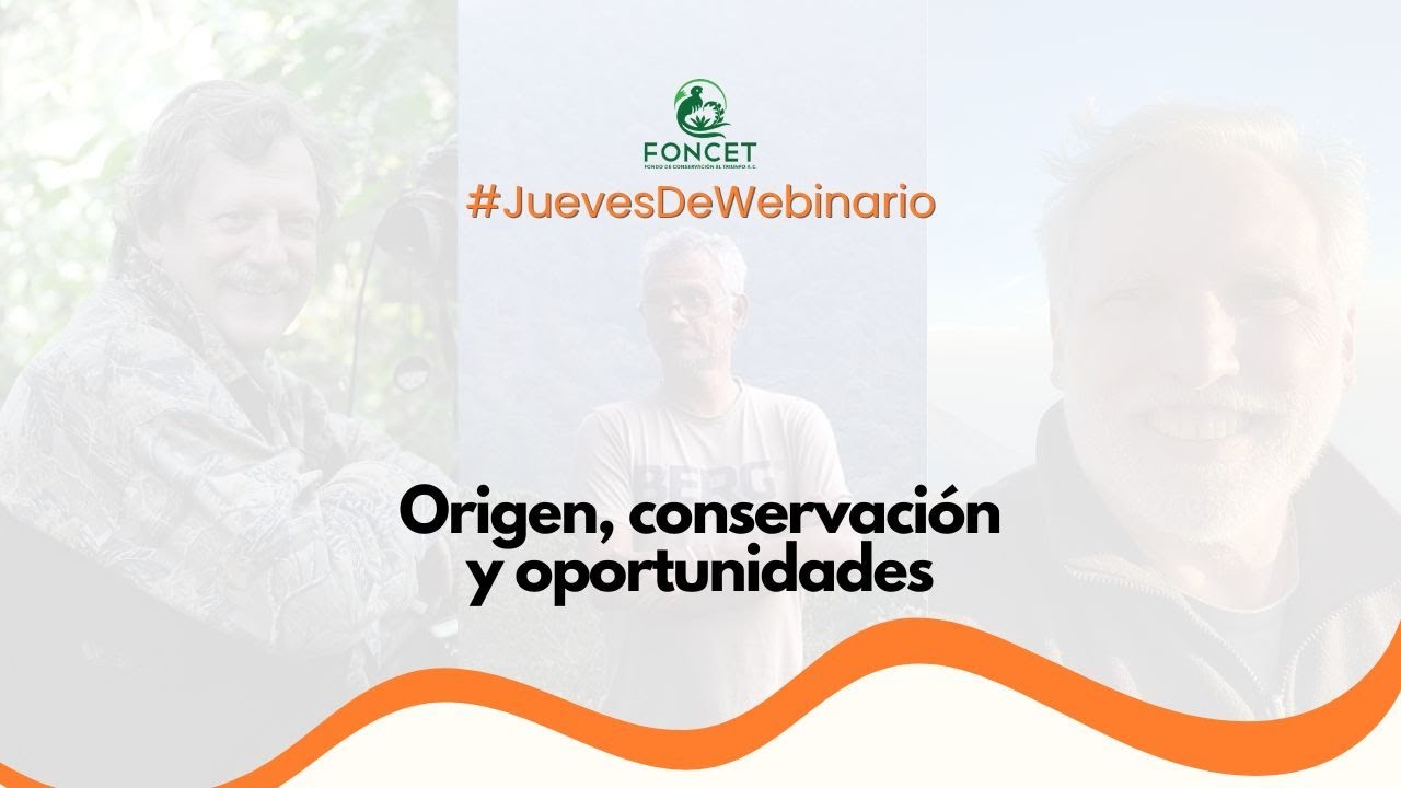#JuevesDeWebinario | Conociendo al FONCET: Origen, conservación y ...