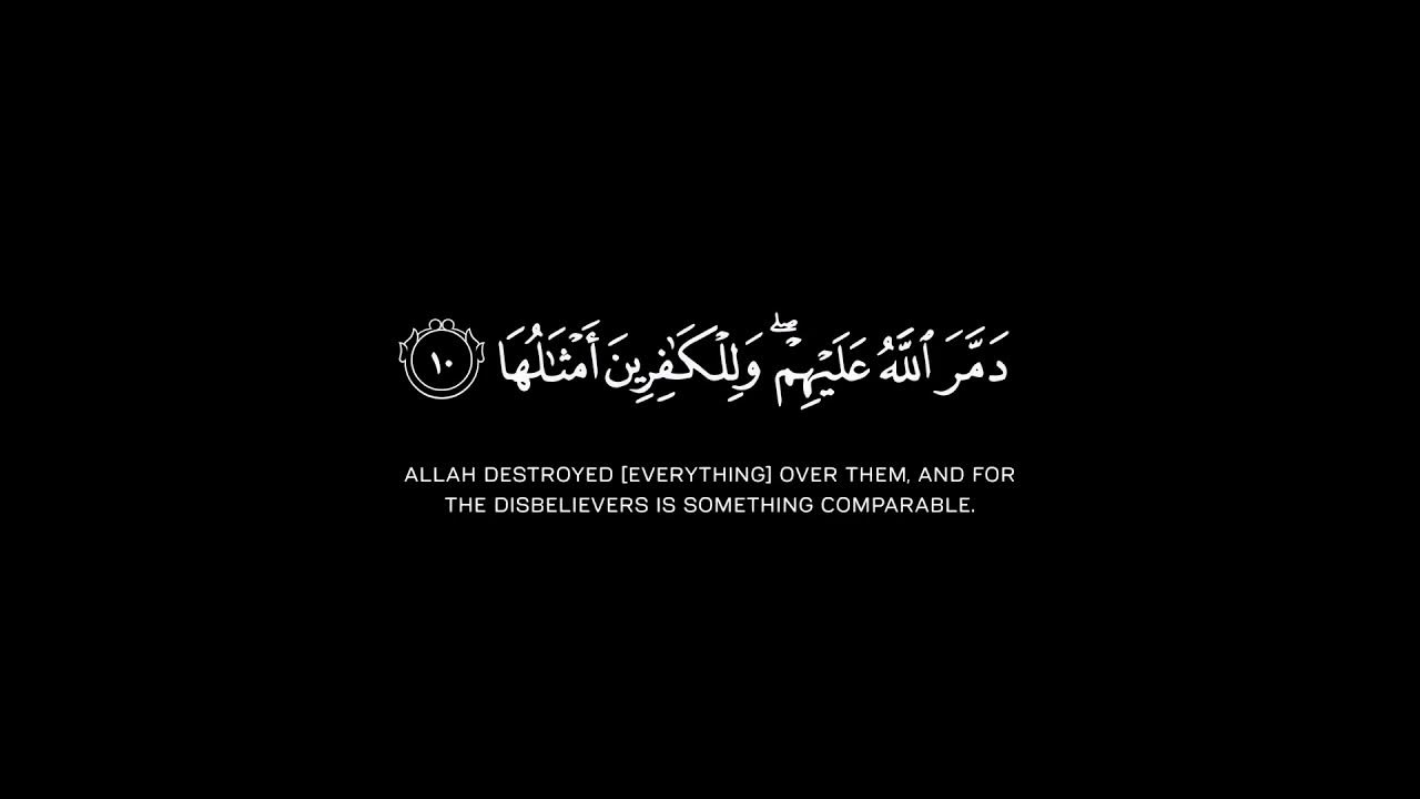 ﴿ذلك بأن الله مولى الذين آمنوا﴾ قران ماهر المعيقلي كروما سوداء