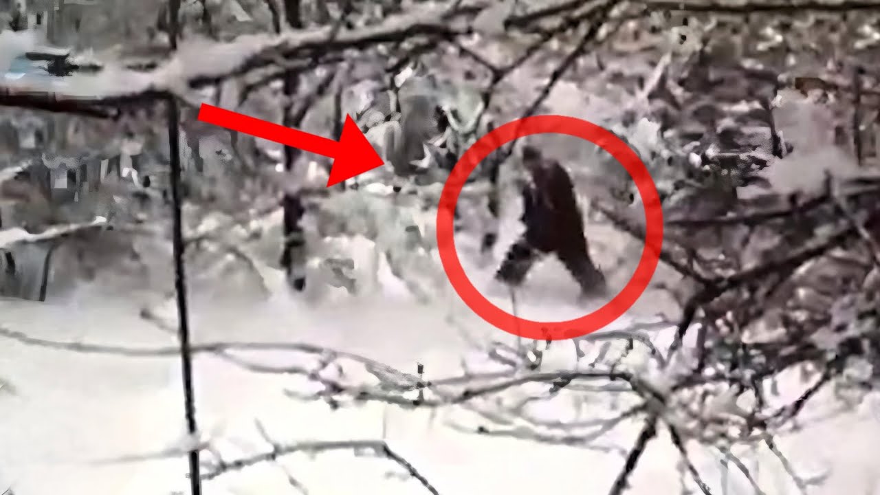 Top 10 Most TERRIFYING Creatures On Earth 😱: The Last One Is UNREAL ...