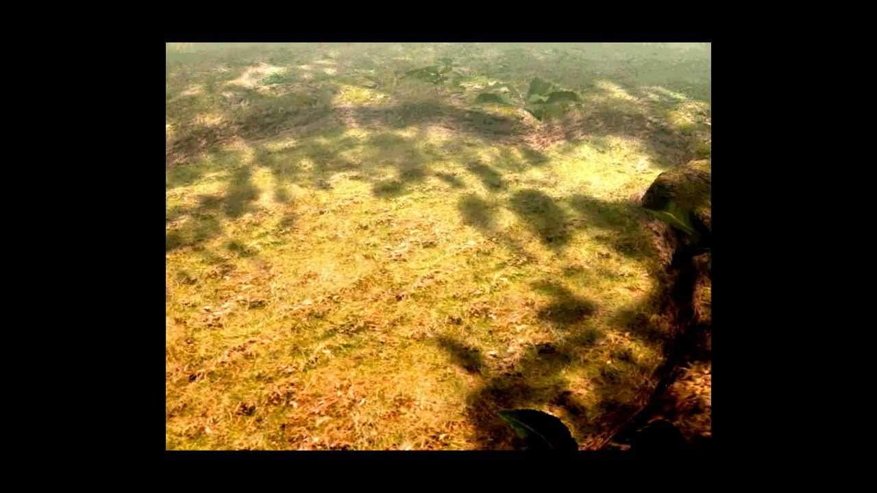 pikmin forest of hope prerelease demo - YouTube