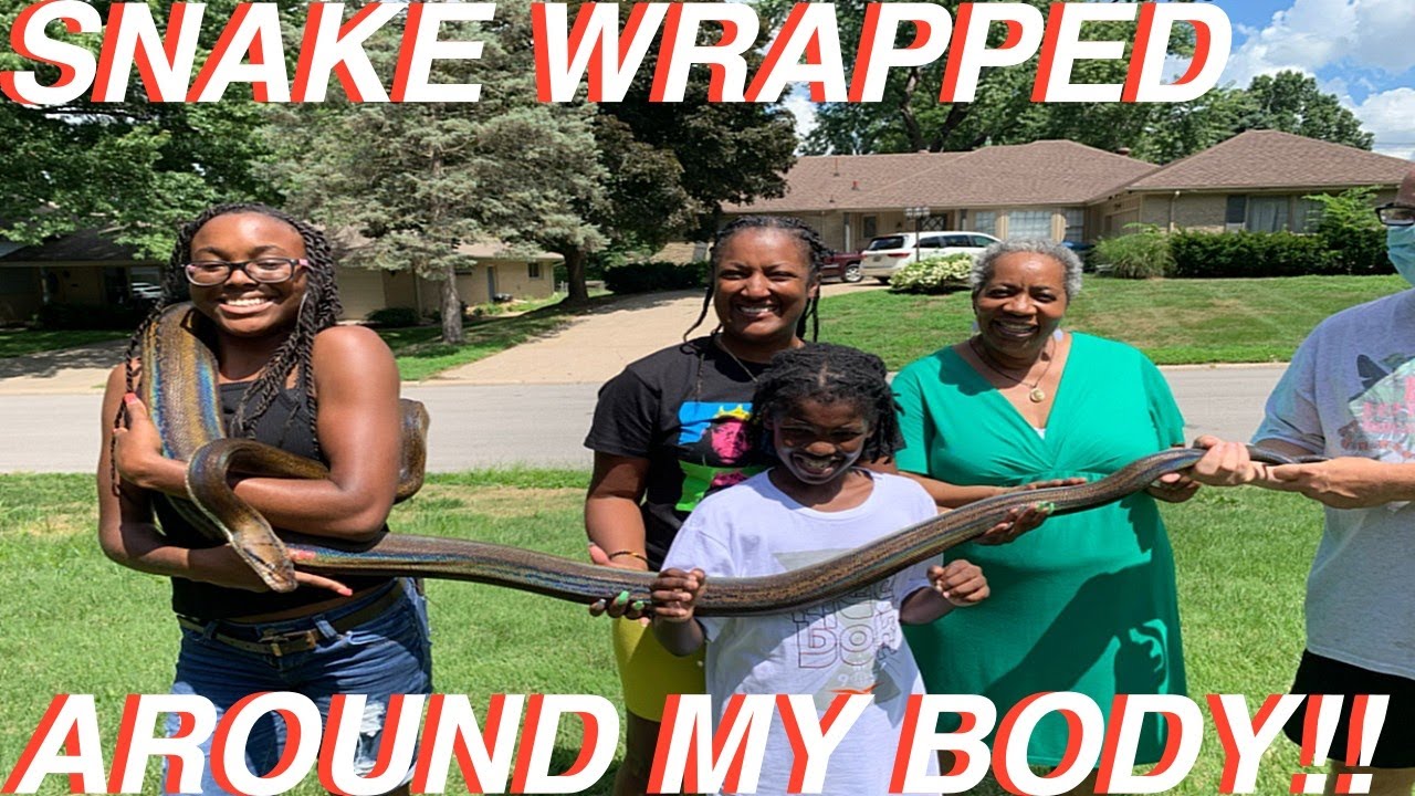 THE SNAKE WRAPPED AROUND MY WHOLE BODY!!! | Reptilian Zoo | Summer ...