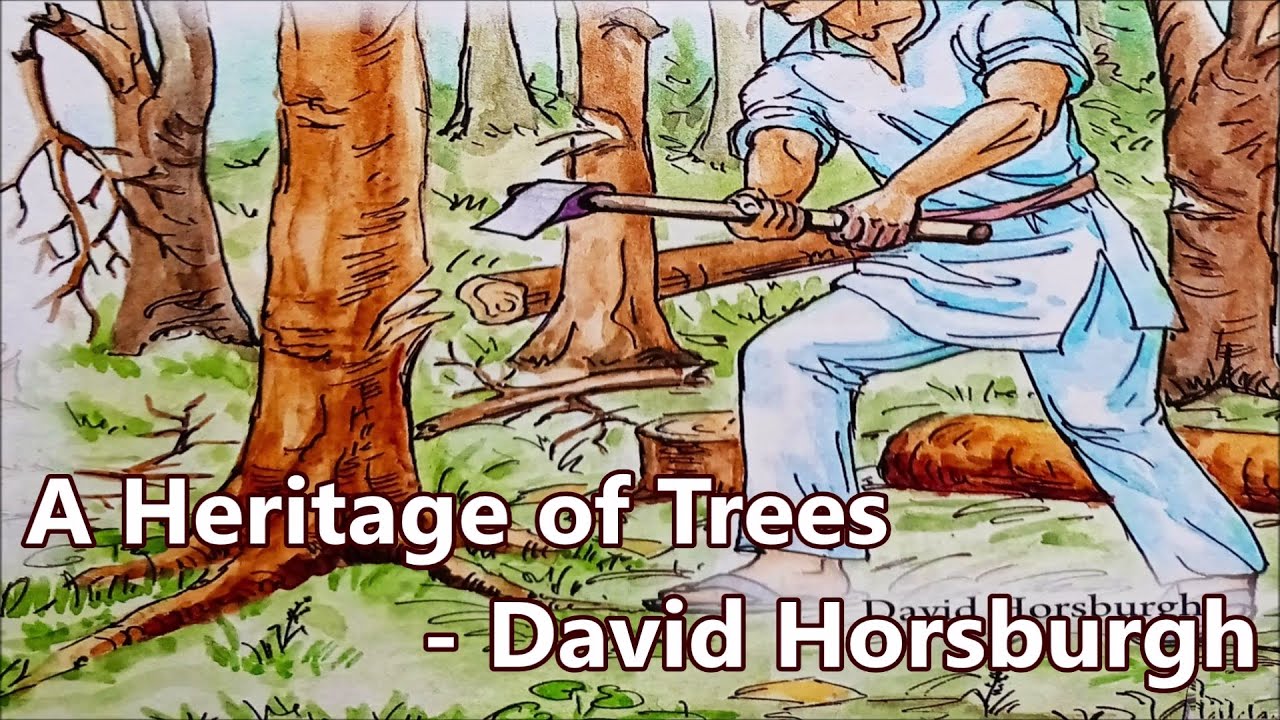 Class 6 English Language Reader Poem (A Heritage of Trees - David ...