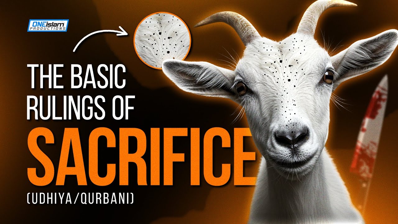 The Basic Rulings Of Sacrifice (Udhiya / Qurbani) - YouTube