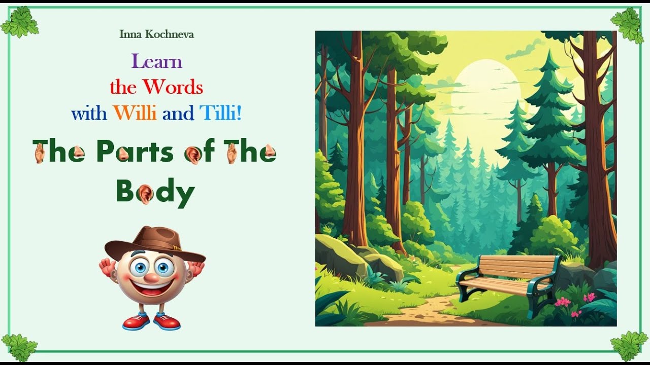 Body Parts with Willi und Tilli Учим части тела с Тилли и Вилли - YouTube