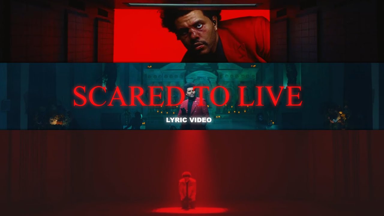 The Weeknd - Scared to Live (Unofficial Music/Lyric Video) - YouTube