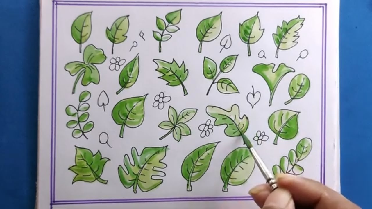 how to draw different type of leaf with color/leaf doodle art - YouTube