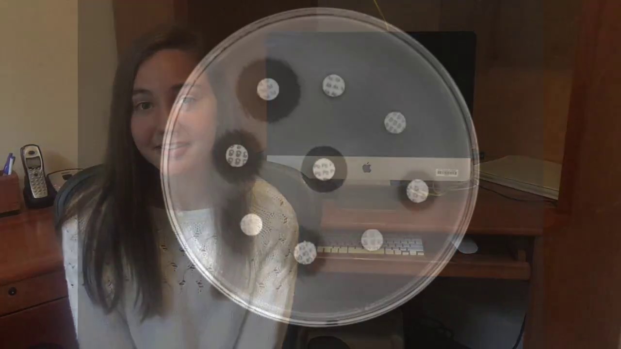 Minimum Inhibitory Concentration (MIC) Calculator Full Video - YouTube