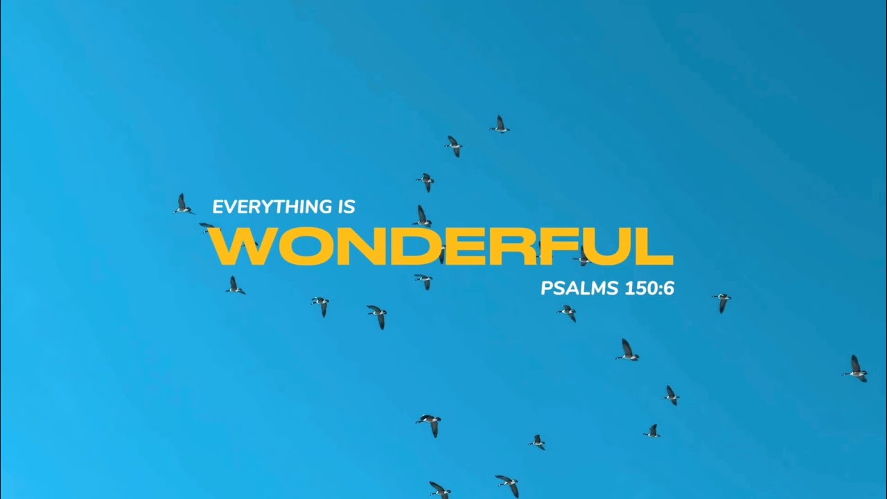 Everything is Wonderful - YouTube