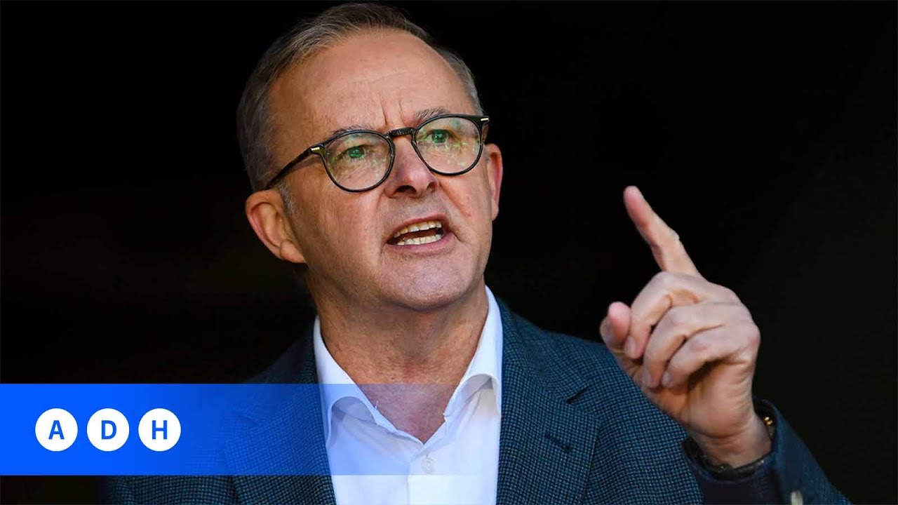 Anthony Albanese should ‘forget the Voice’: Coory - YouTube