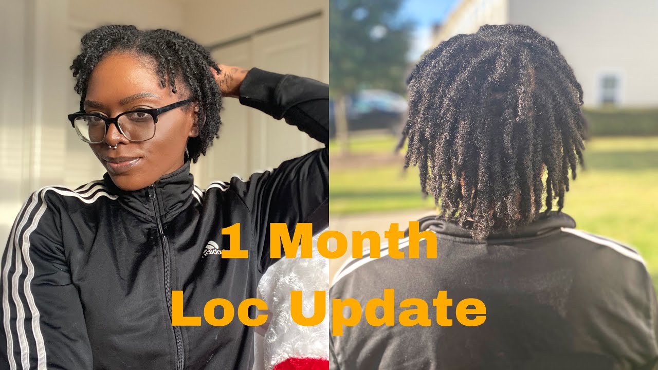 1 Month Loc Update| Frizz| Budding - YouTube