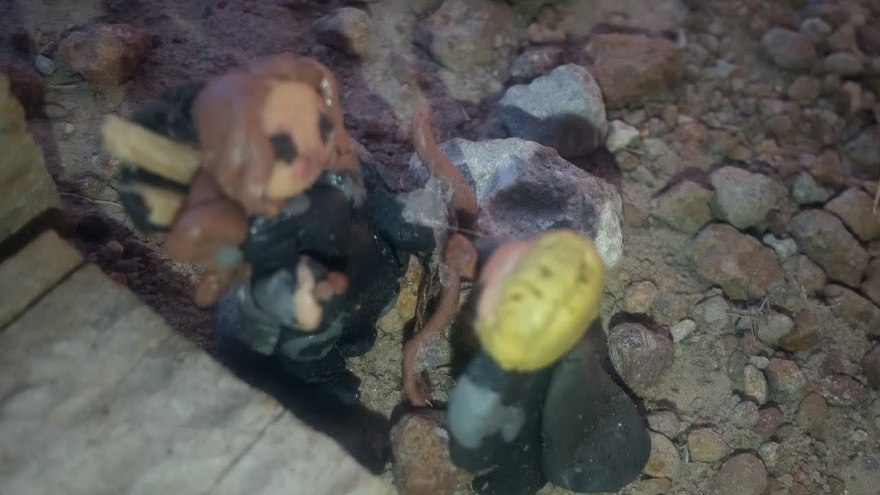 Safe & Sound (Taylor's Version) 'HUNGER GAMES: CLAY EDITION' - YouTube