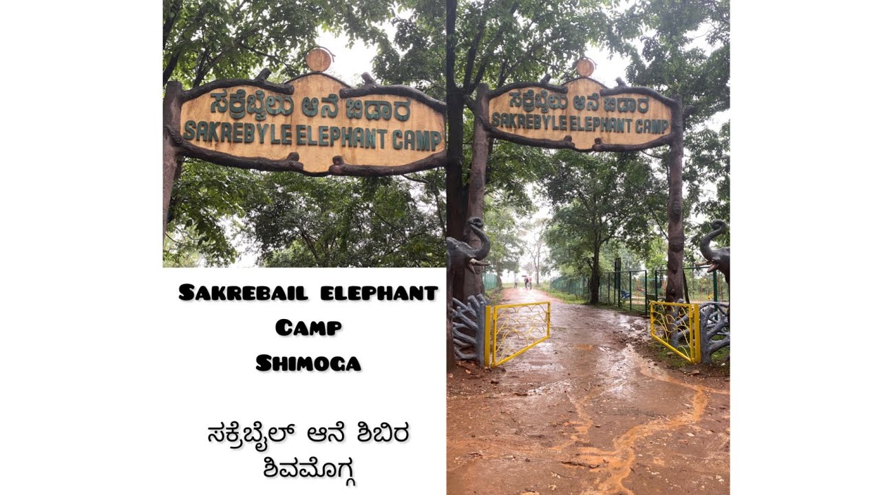 Sakrebyle Elephant Camp|Shimoga|Bangalore - Shimoga| PART-1 #shimoga ...