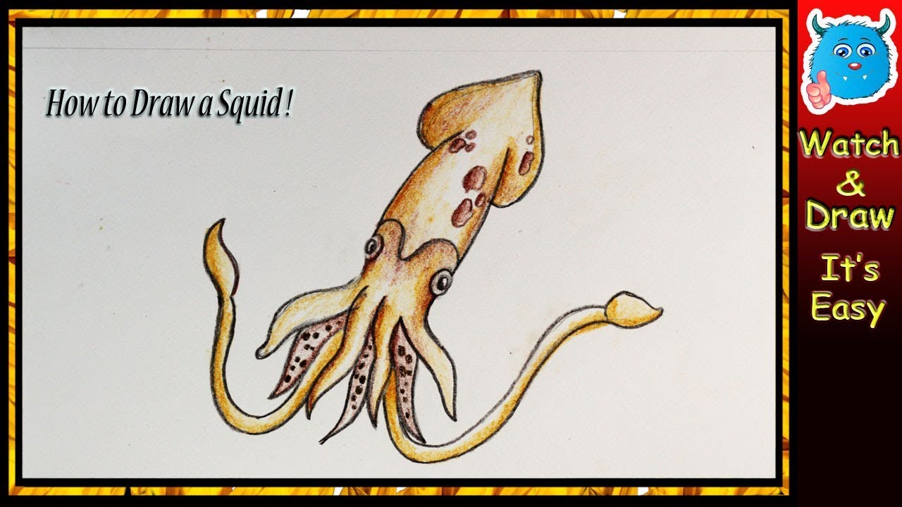 How To Draw A Squid Easy Sea Creature Drawing Step by Step for ...