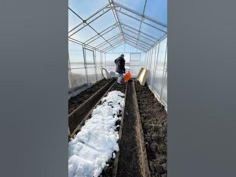 Зачем таскала снег в теплицу?😂 - YouTube