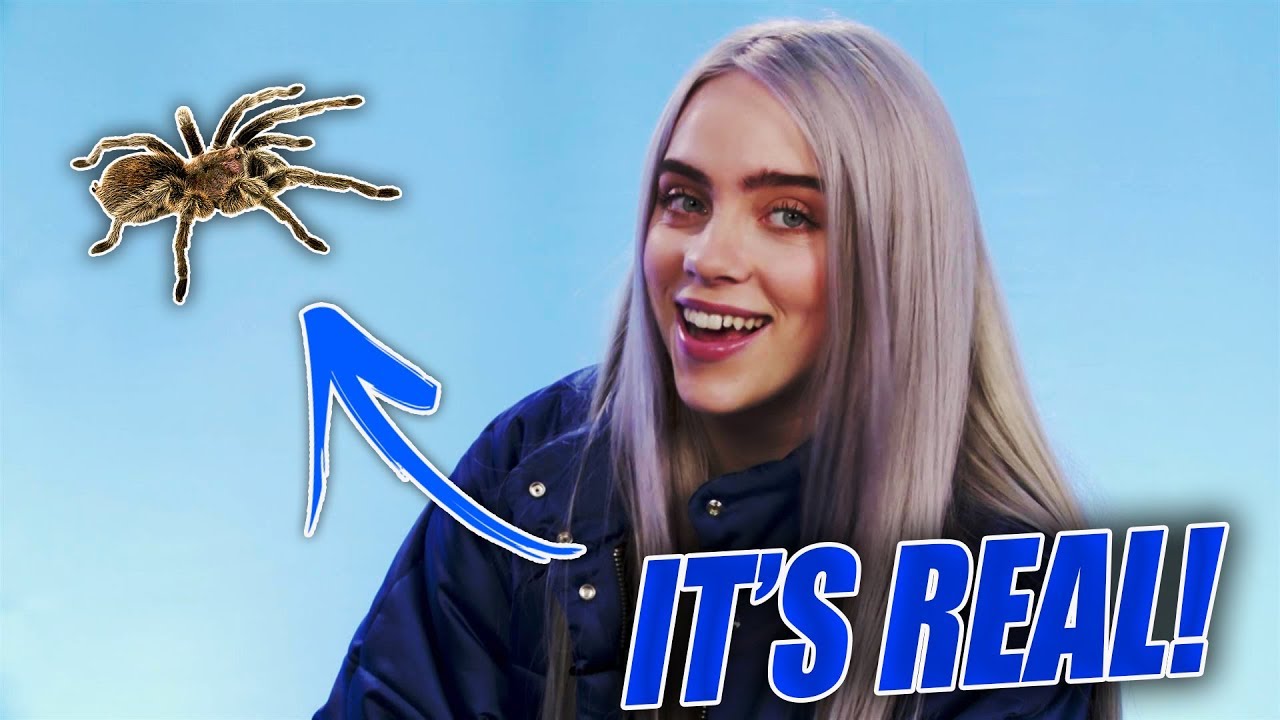 BILLIE EILISH and HER SPIDER 🕷 - YouTube