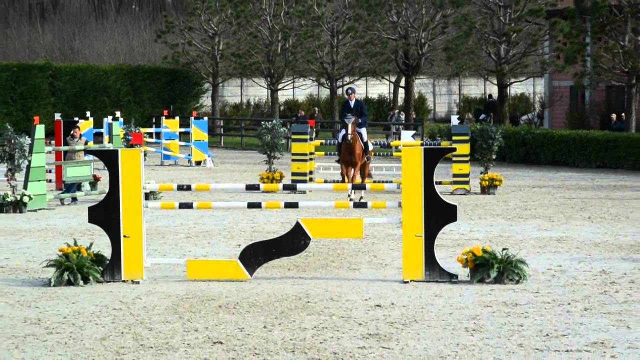 Gabriele Pina - Conglove Gold, 7Anni - EquiEffe, Gorla Minore 30/3/2014 ...