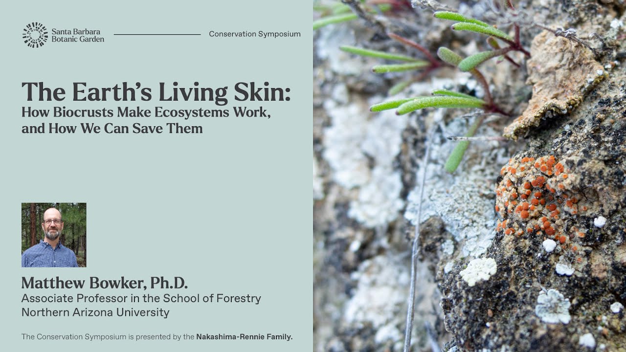 The Earth's Living Skin | How Biocrusts Make Ecosystems Work, and How ...