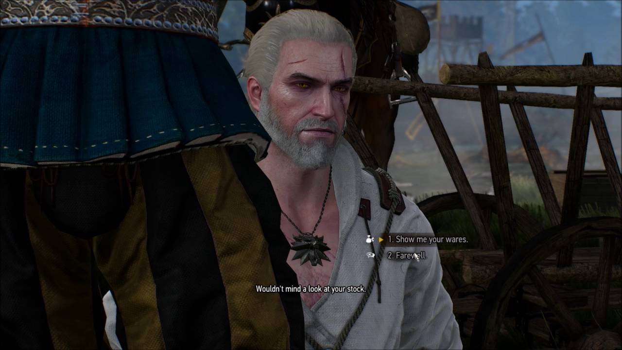 Witcher 3: Wild Hunt - Southeast Border Post Ninja Merchant Bug - YouTube