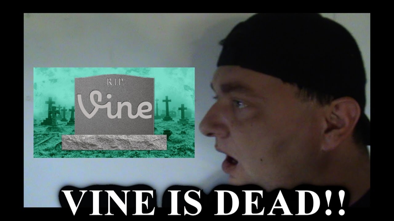 Vine is really GONE - YouTube