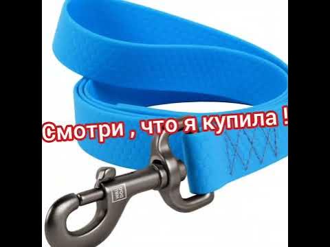 Вау дог 😩 - YouTube