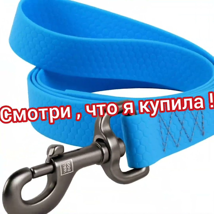 Вау дог 😩 - YouTube
