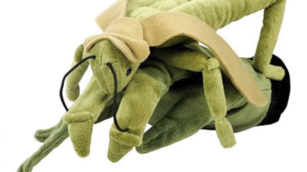 Beleduc - Grasshopper Glove Puppet - YouTube