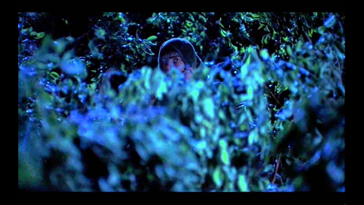 platoon night forest fight scene - YouTube