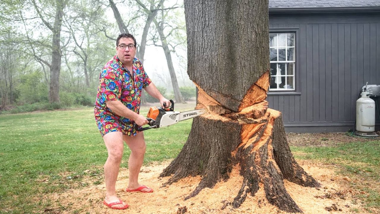 Extreme Chainsaw Fails & Logging Disasters | One Mistake Ends It All ...