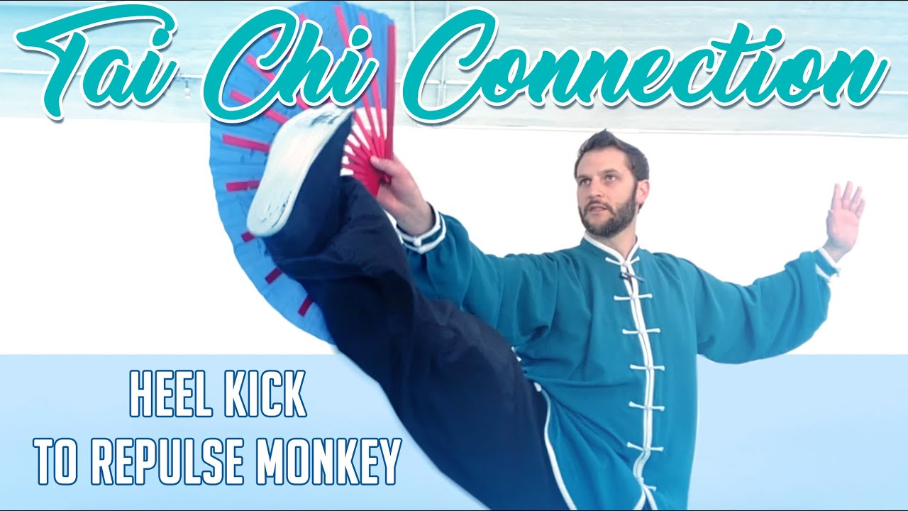 Tai Chi Connection - Tai Chi Fan - Kick with the Heel to Repulse Monkey ...