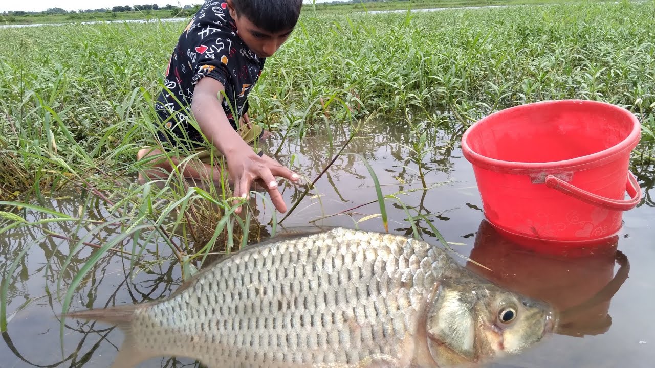 Amazing Hand Fishing Video | Smart Boy Big Fish Catching By Hand In The ...