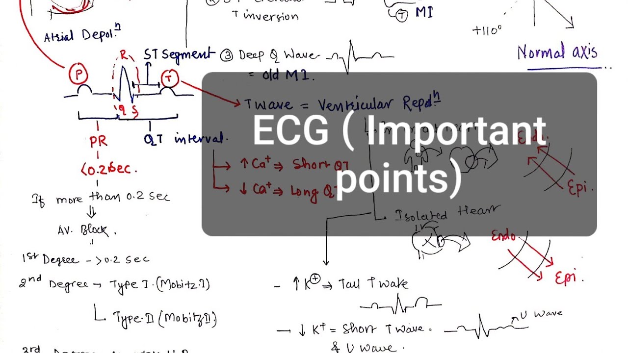 EGC basics ( important points for NEET ) - YouTube