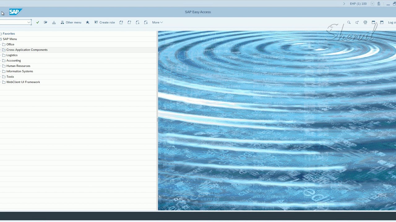 51. SAP GRC - ARA - Risk Terminator - Demo - User Administration - SU01 ...