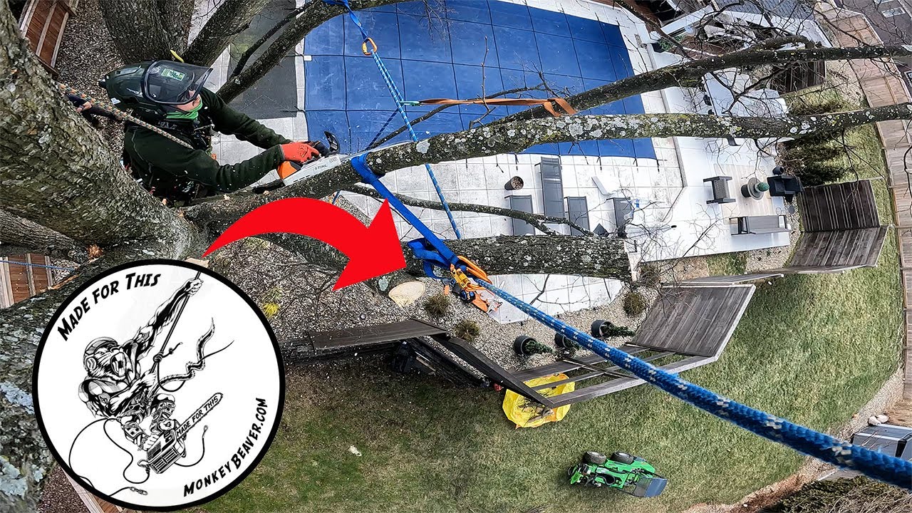 So You Want To Buy The Monkey Beaver Deluxe SpeedLine Kit Watch This Before You Do! - YouTube