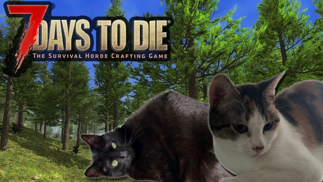 Quest Machines! 😎 | 7 Days S1 E2 - YouTube