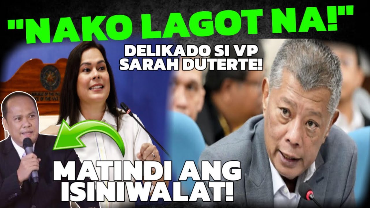 SIKAT NA ABOGADO! ISINIWALAT ANG PLANO NI BOYING REMULLA KAY VP SARAH ...