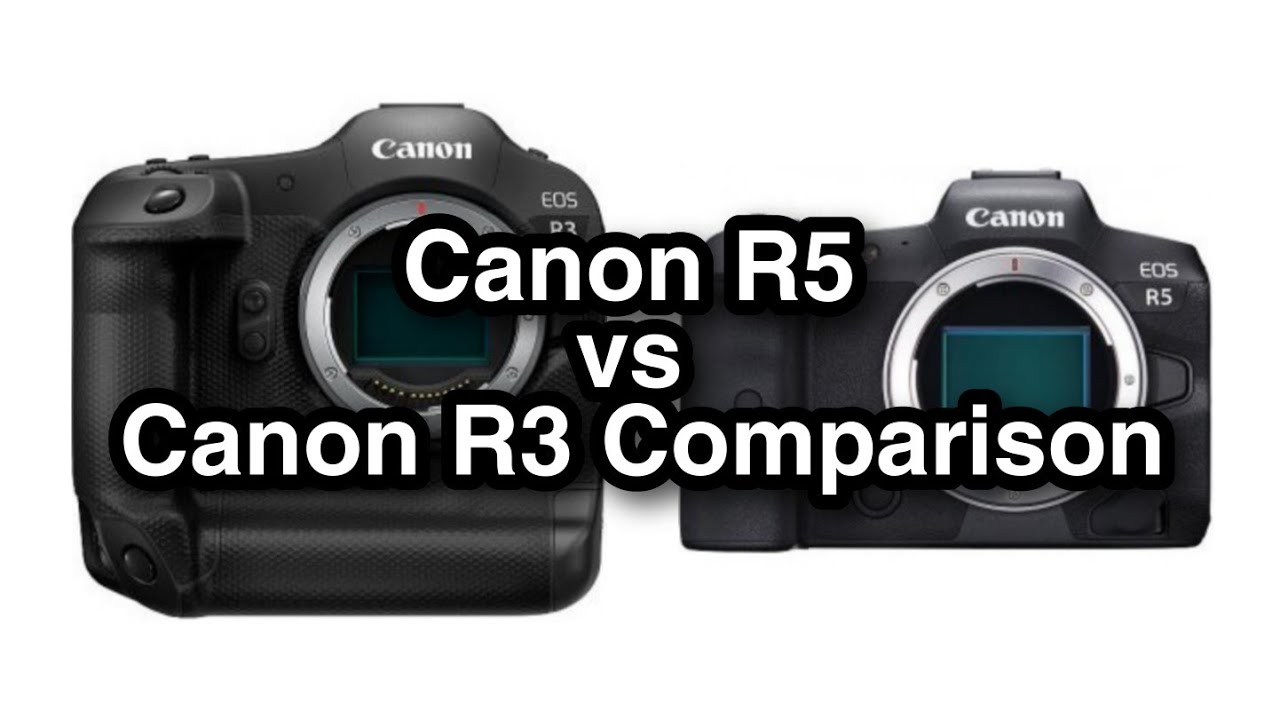 Canon R5 vs Canon R3 Comparison - YouTube