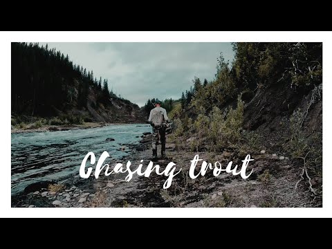Chasing trout! fly fishing - YouTube