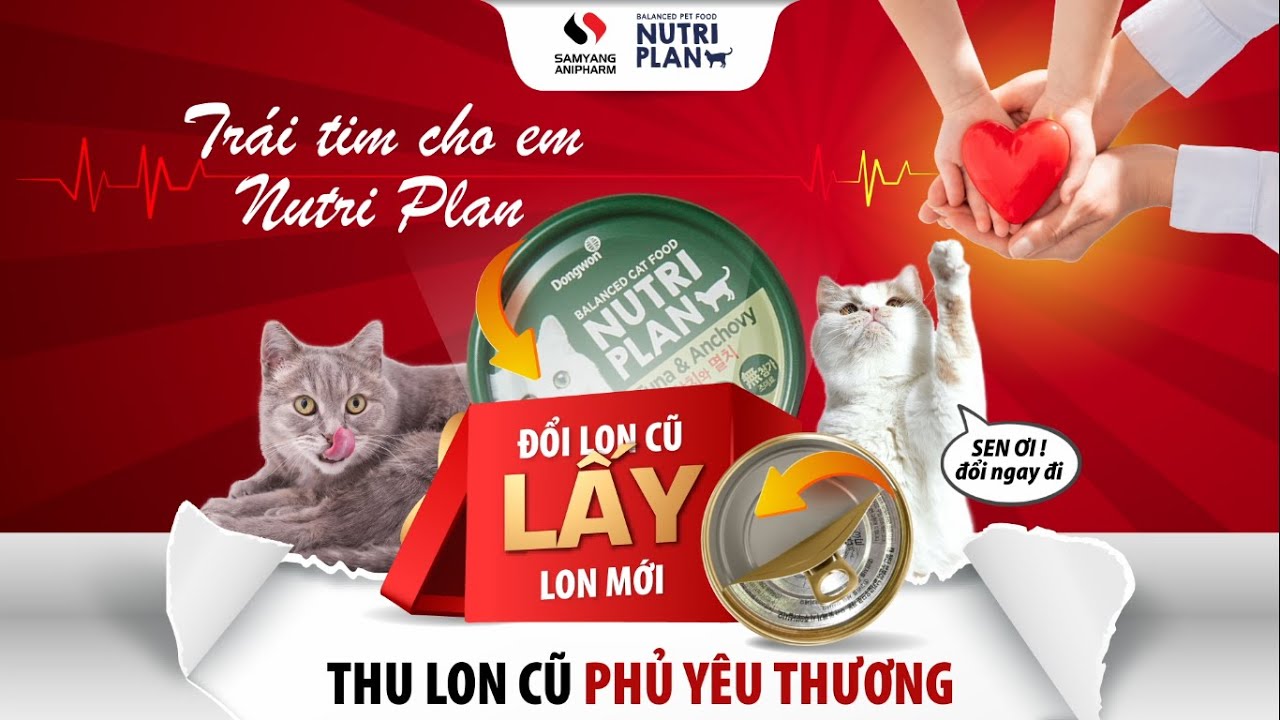 Chương trình "Trái tim cho em Nutri Plan - Thu lon cũ, phủ yêu thương" #traitimchoem #nutriplan ...