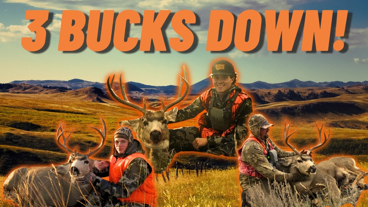 3 BUCKS DOWN IN 2 DAYS!! (Montana Mule Deer Hunt) - YouTube