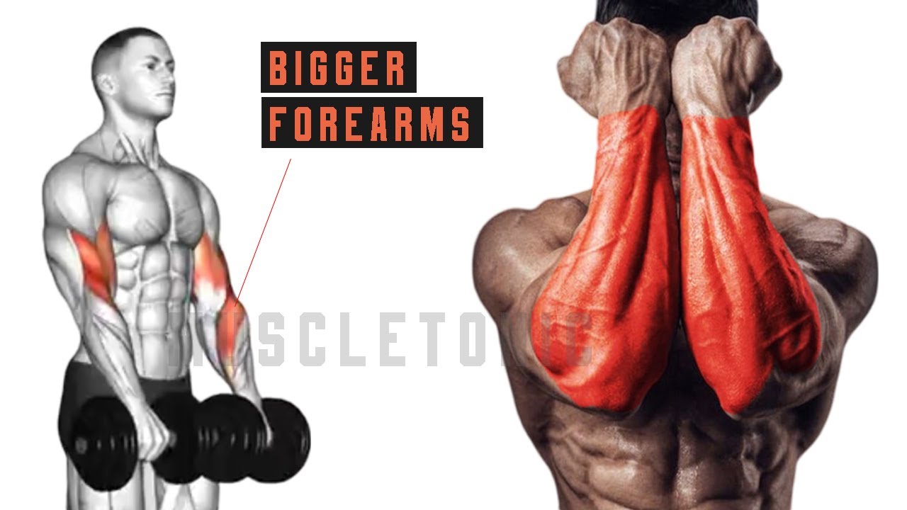 How to Build Bigger Forearms Fast | #armworkout - YouTube