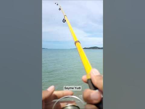 Mancing Di Pinggir Laut Guyyss.. #fishing #mancing #fypyoutube - YouTube