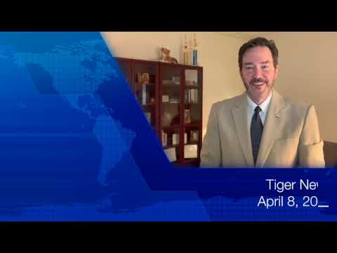 Tiger News 04 08 2024 SD 480p - YouTube