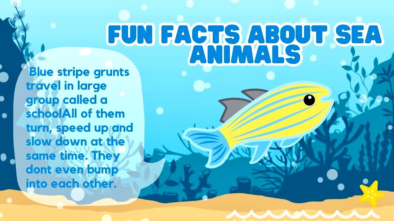 fun facts about sea animals - animal sounds for toddlers !! - YouTube